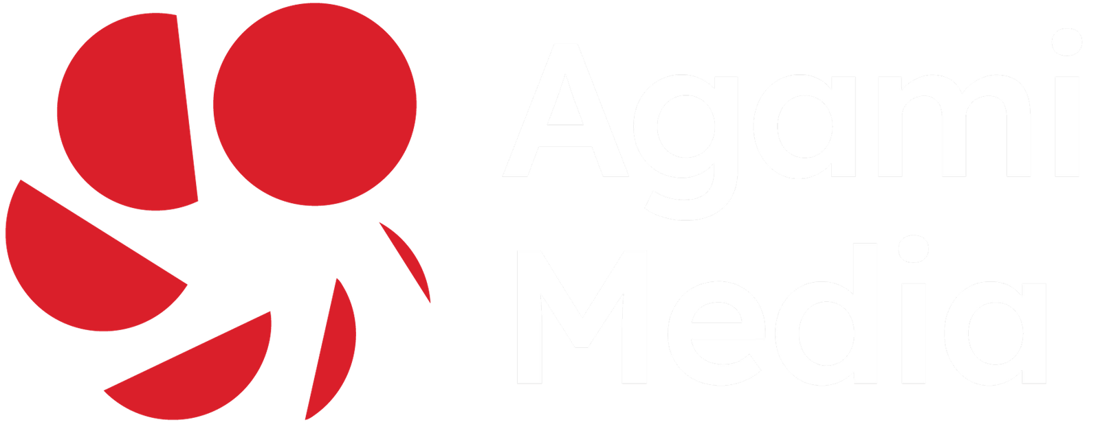 Agami Media - Unleash measurable growth with performance driven marketing!